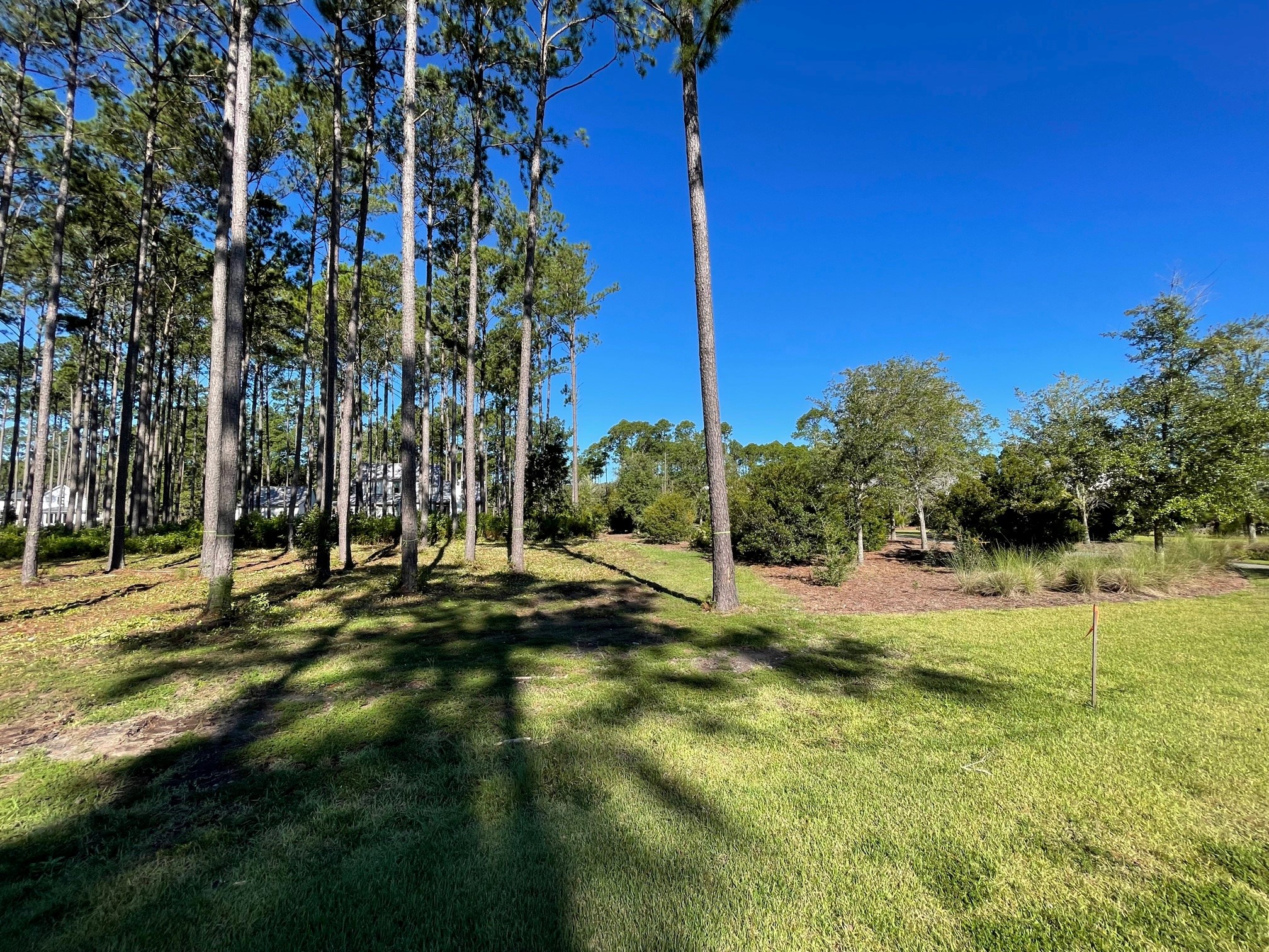 102 Summer Ducks – Palmetto Bluff