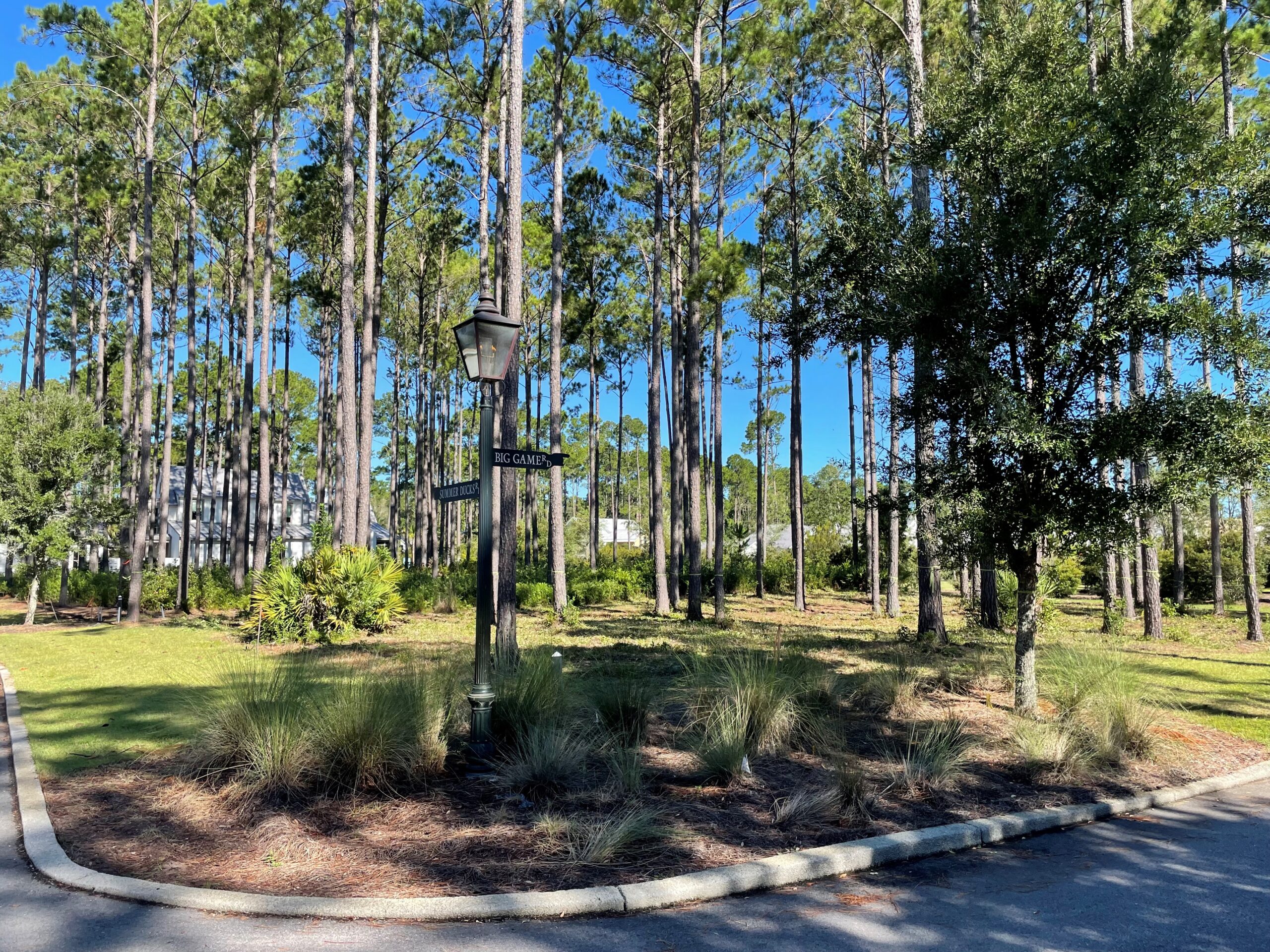 102 Summer Ducks – Palmetto Bluff